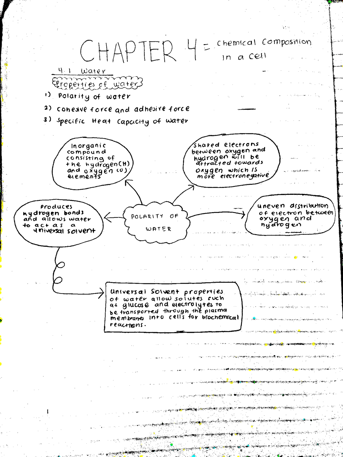 Biology F4 Chapter 4.pdf - biology - Studocu