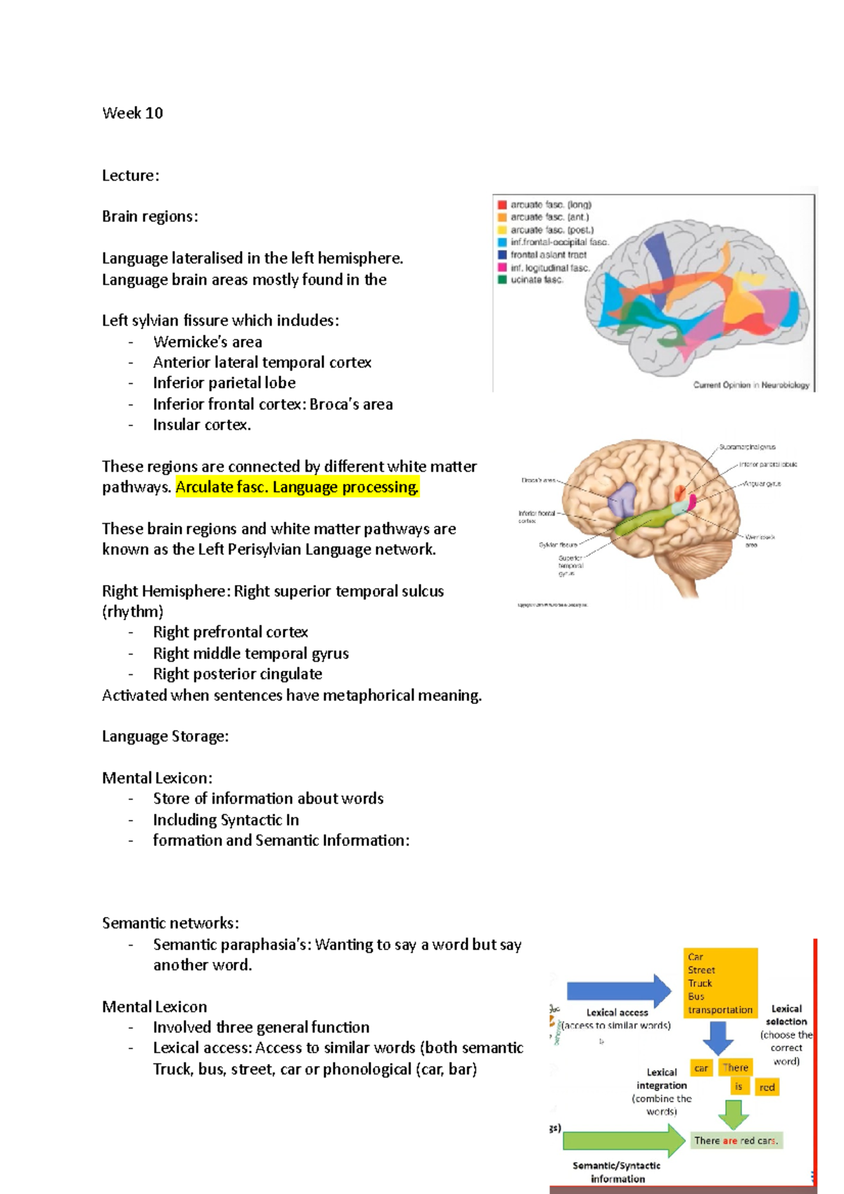 Week 10 - Language - Lecture notes and tutorial notes - Week 10 Lecture ...