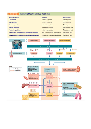 LO WO WEEK 5 ENDO LA - Pembahasan Learning Outcomes Endocrine ...