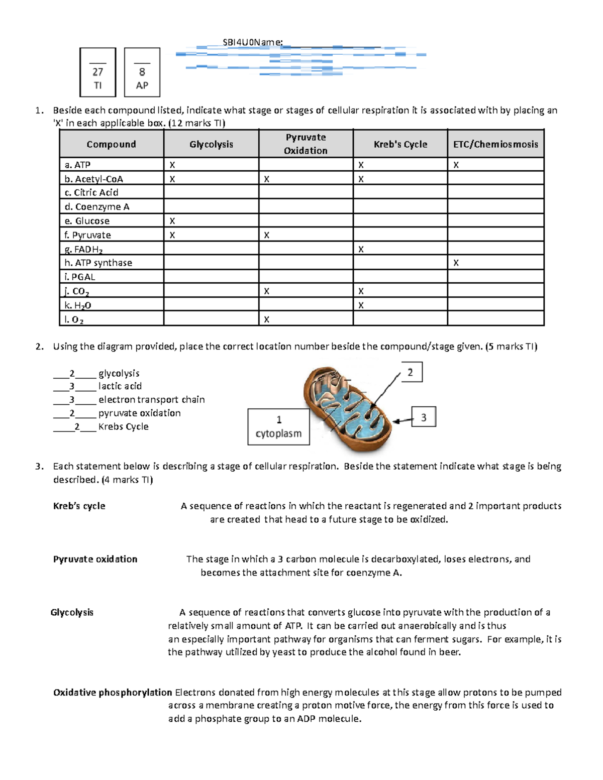 Copy of Cellular Respiration Assignment - SBI4U0Name ...