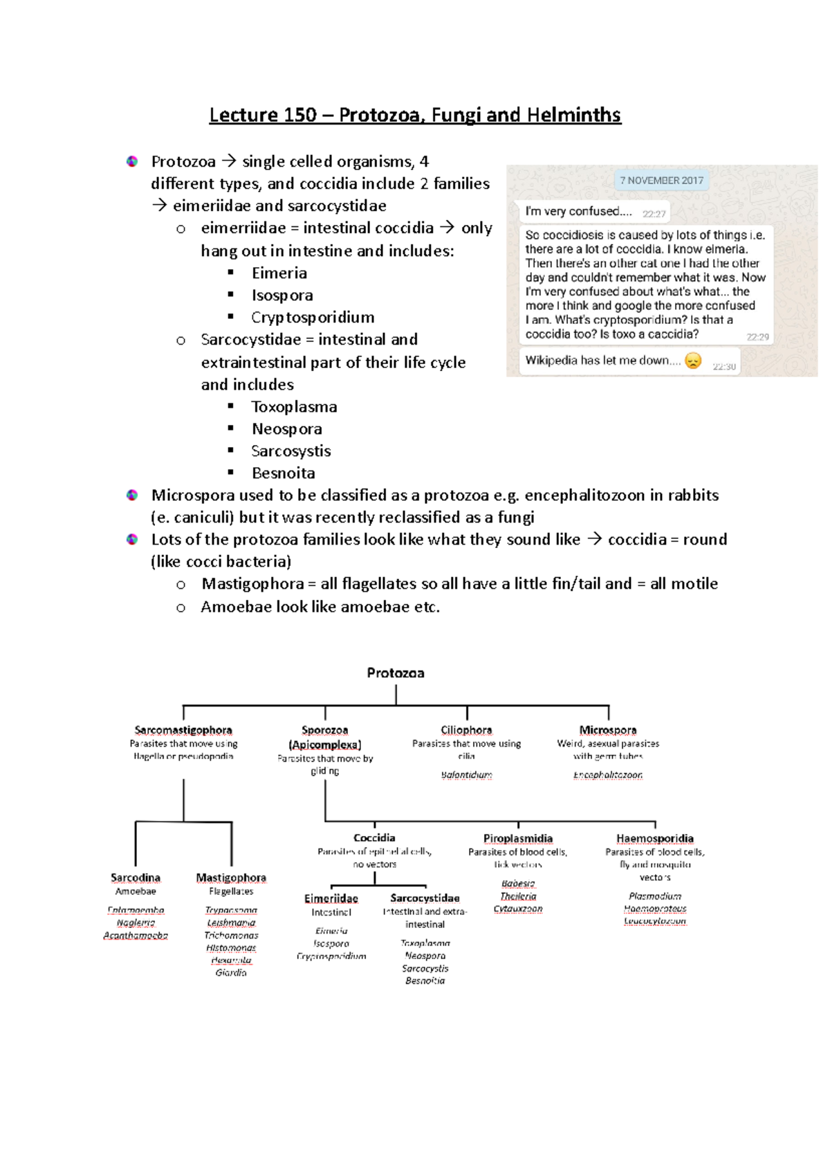 Lecture 150 – Protozoa, Fungi and Helminths - Lecture 150 – Protozoa ...