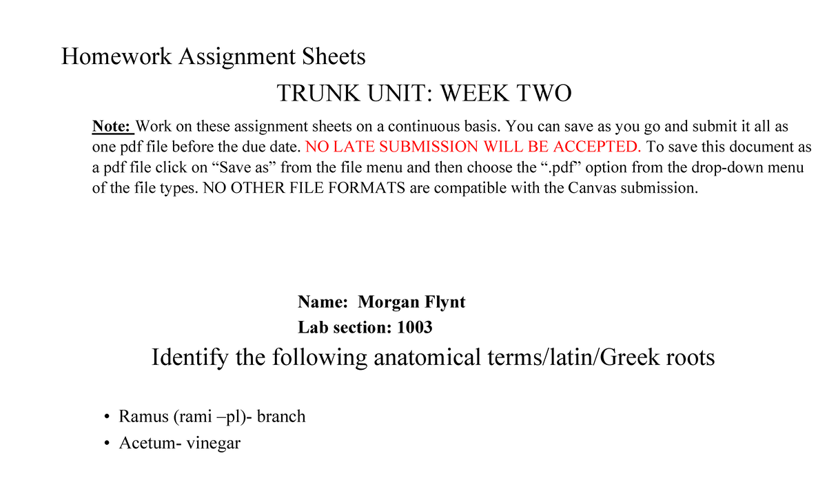 Hw 2 turn in - .amm lkhh - Homework Assignment Sheets TRUNK UNIT: WEEK ...