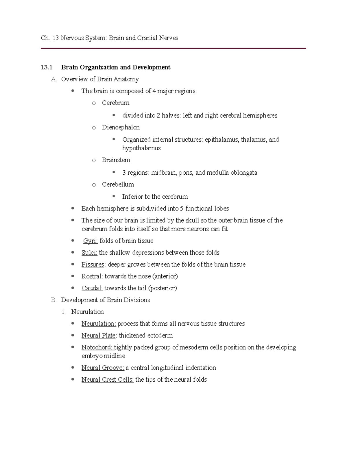 Anatomy 102 Textbook Notes - Ch. 13 Nervous System: Brain and Cranial ...
