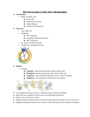 BIO 103 Test 2 Lecture 2 Notes - BIO 103 Test 2 Lecture 2 Notes Ions ...