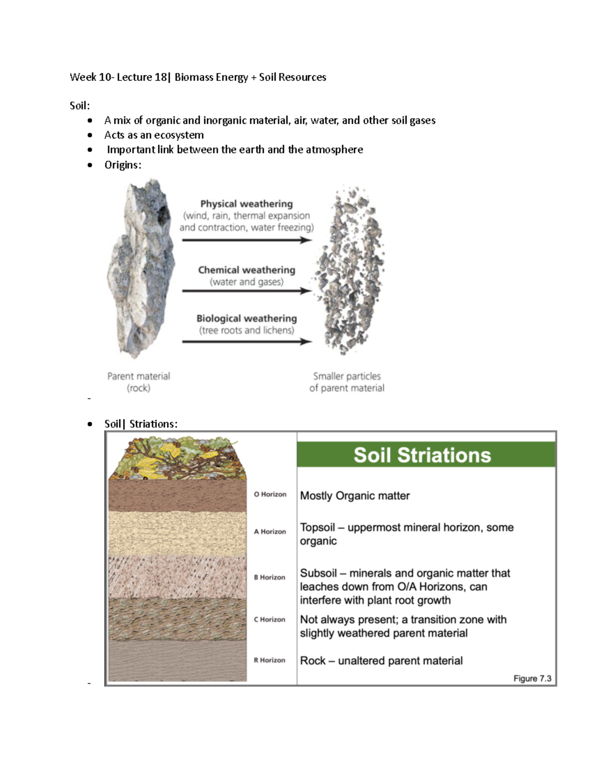Temp Biology- Lecture 18 - Week 10- Lecture 18| Biomass Energy + Soil ...