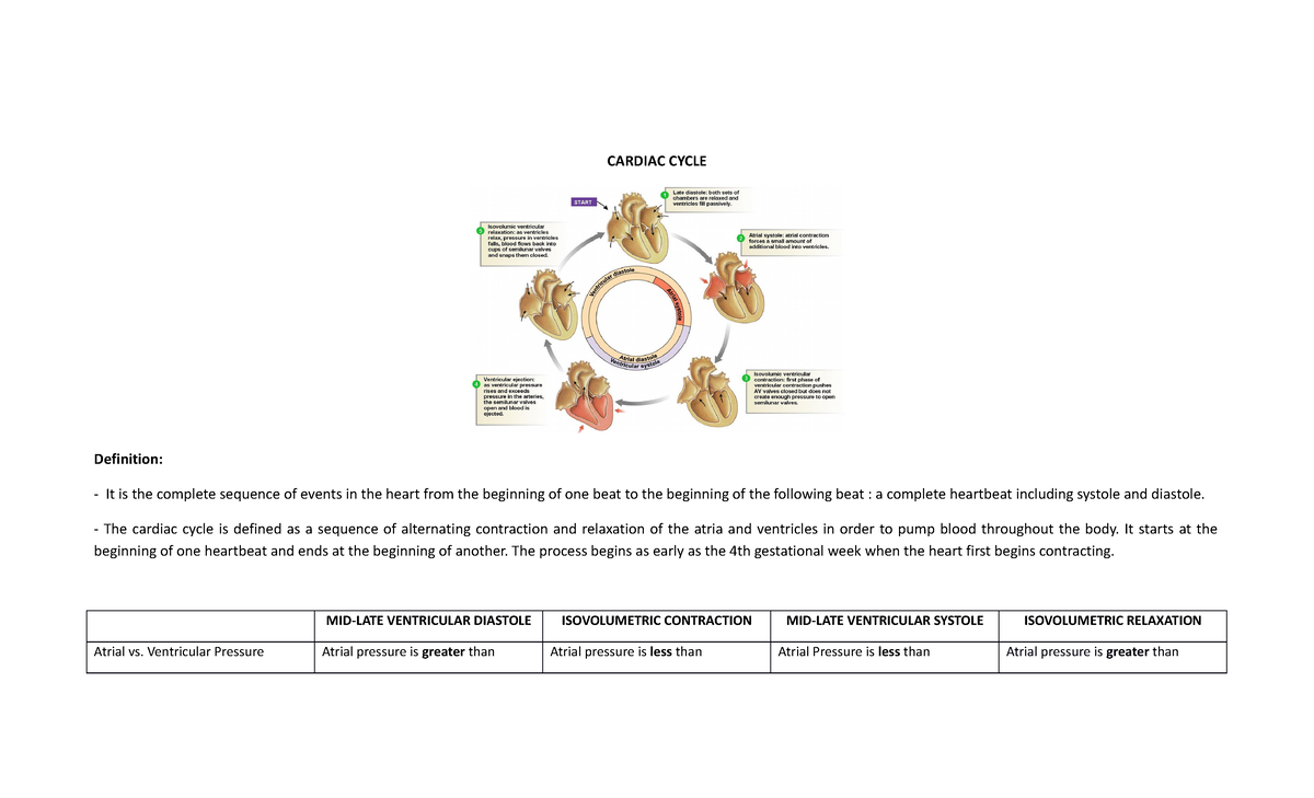 Cardiac Cycle - CARDIAC CYCLE Definition: - It is the complete sequence ...