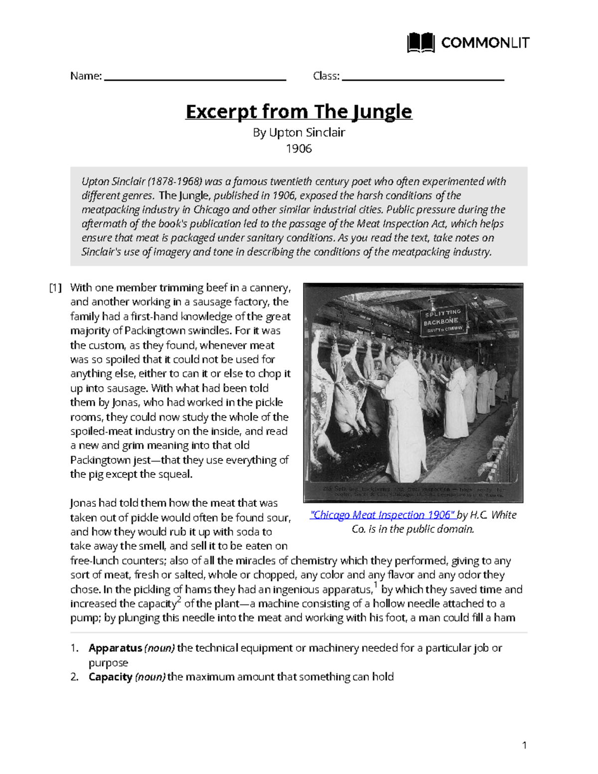Excerpt from The Jungle - Name: Class: "Chicago Meat Inspection 1906 ...