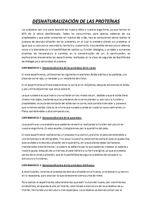 How Leonardo da Vinci Made a "Satellite" Map in 1502 (Video) Ancient ...