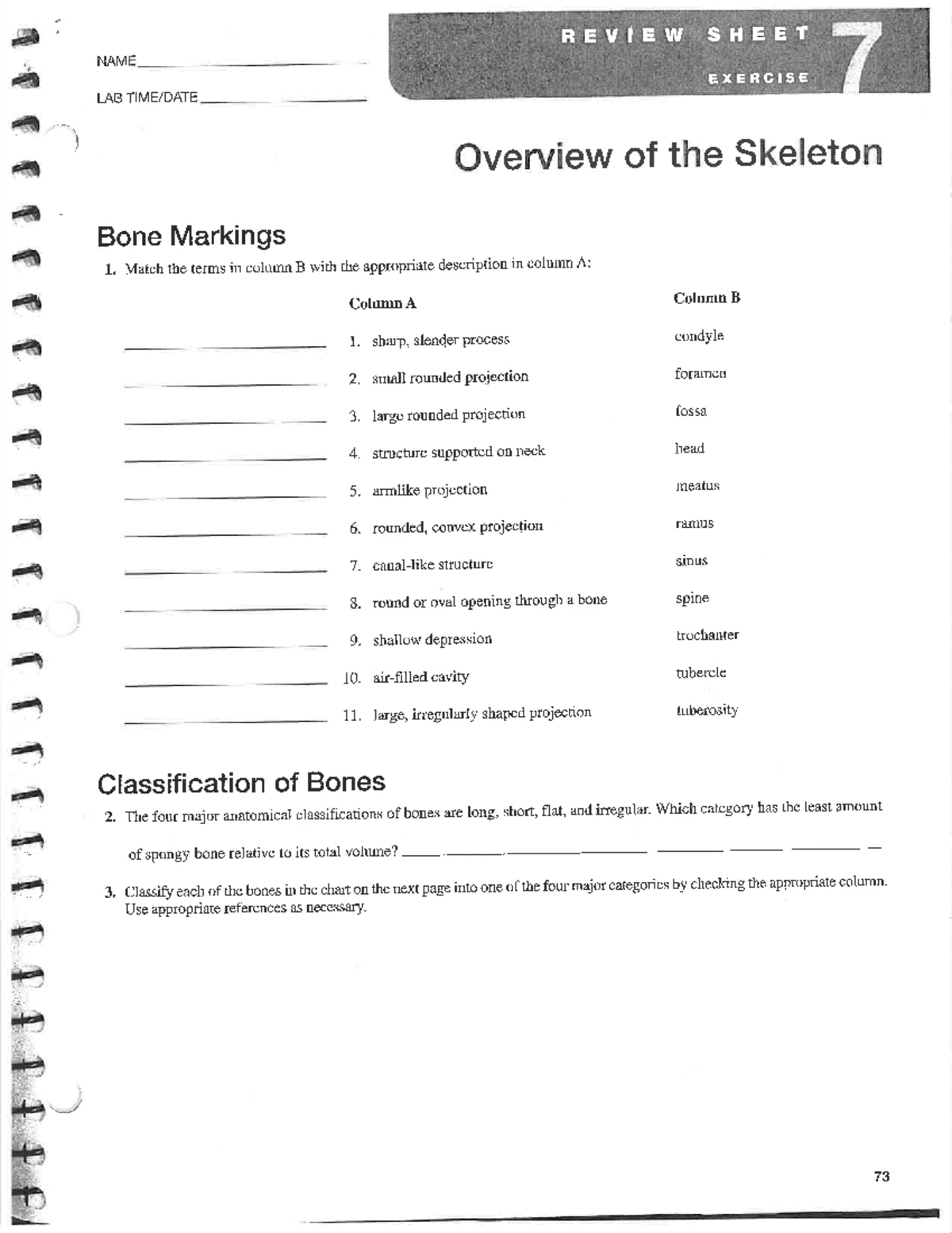 Overview of Skeleton review - Studocu