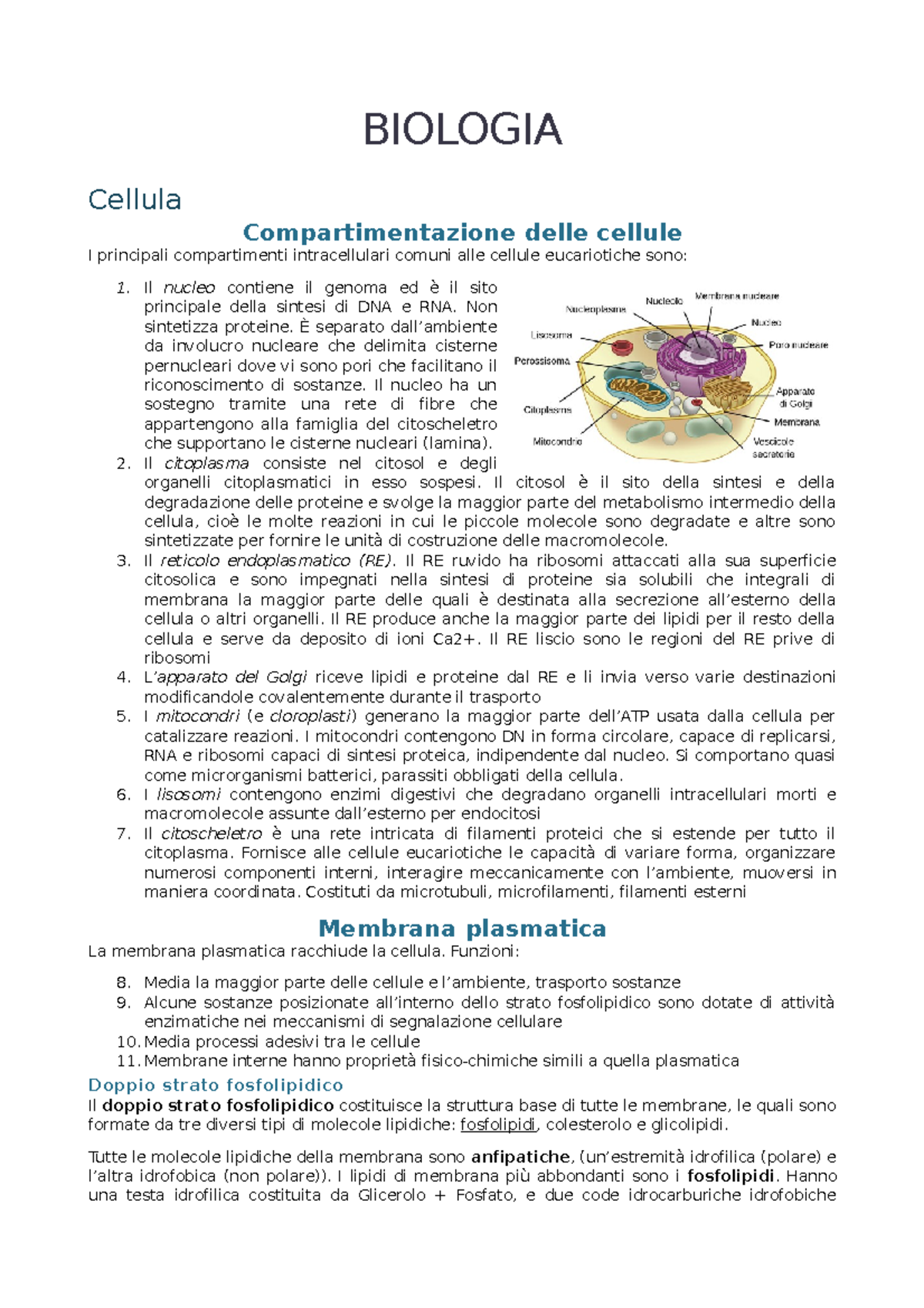 Biologia riassunti - BIOLOGIA Cellula Compartimentazione delle cellule ...