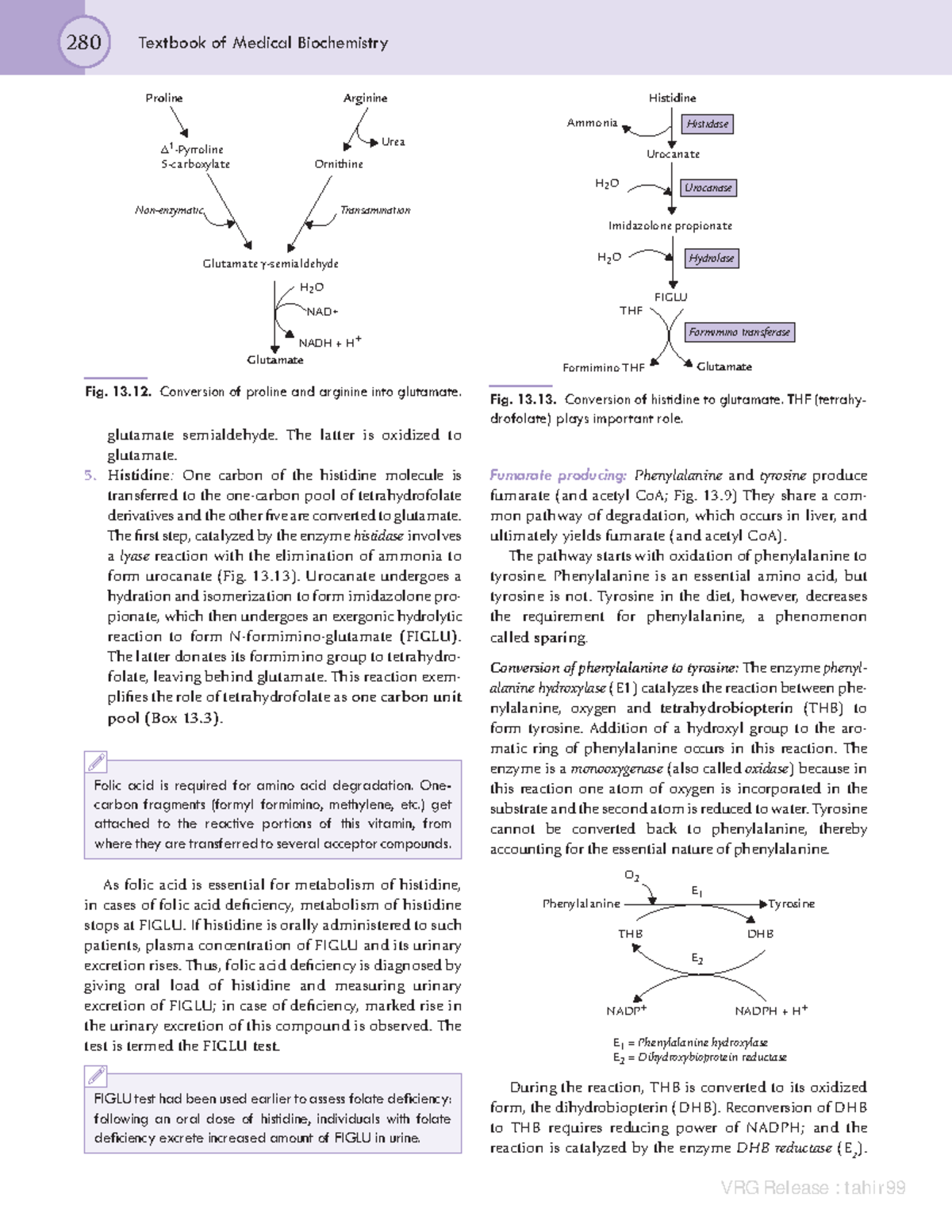 Biochemistry 1-101 - 280 Textbook of Medical Biochemistry Fumarate ...