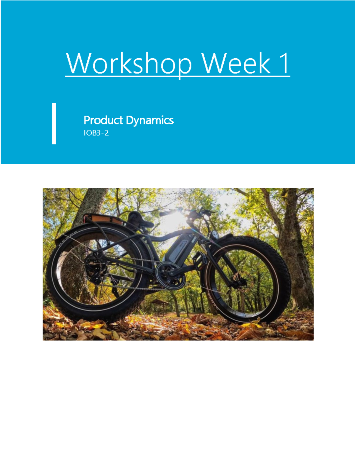 Workshop Manual - Week 1 - Workshop Week 1 Product Dynamics IOB 3- Introduction This document is ...