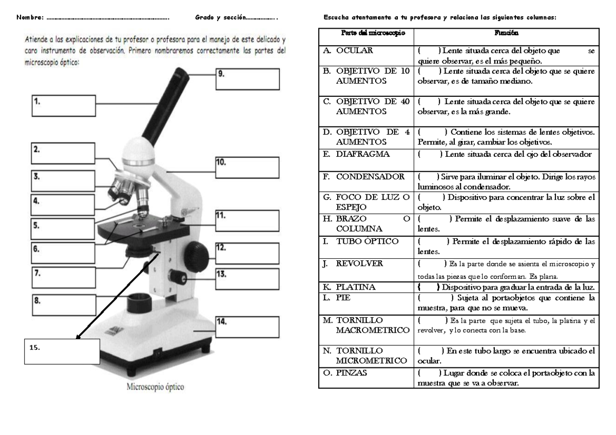 El microscopio imprimir estudiantes - Nombre: - Studocu