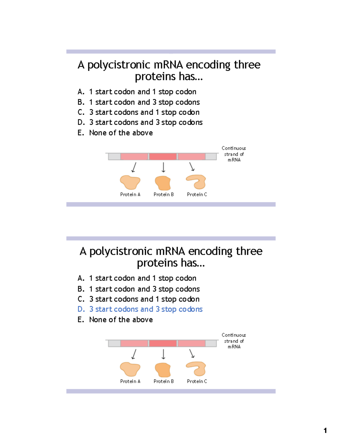 CQs Week 7 - Gene Expression in Prokaryotes and Eukaryotes - A ...
