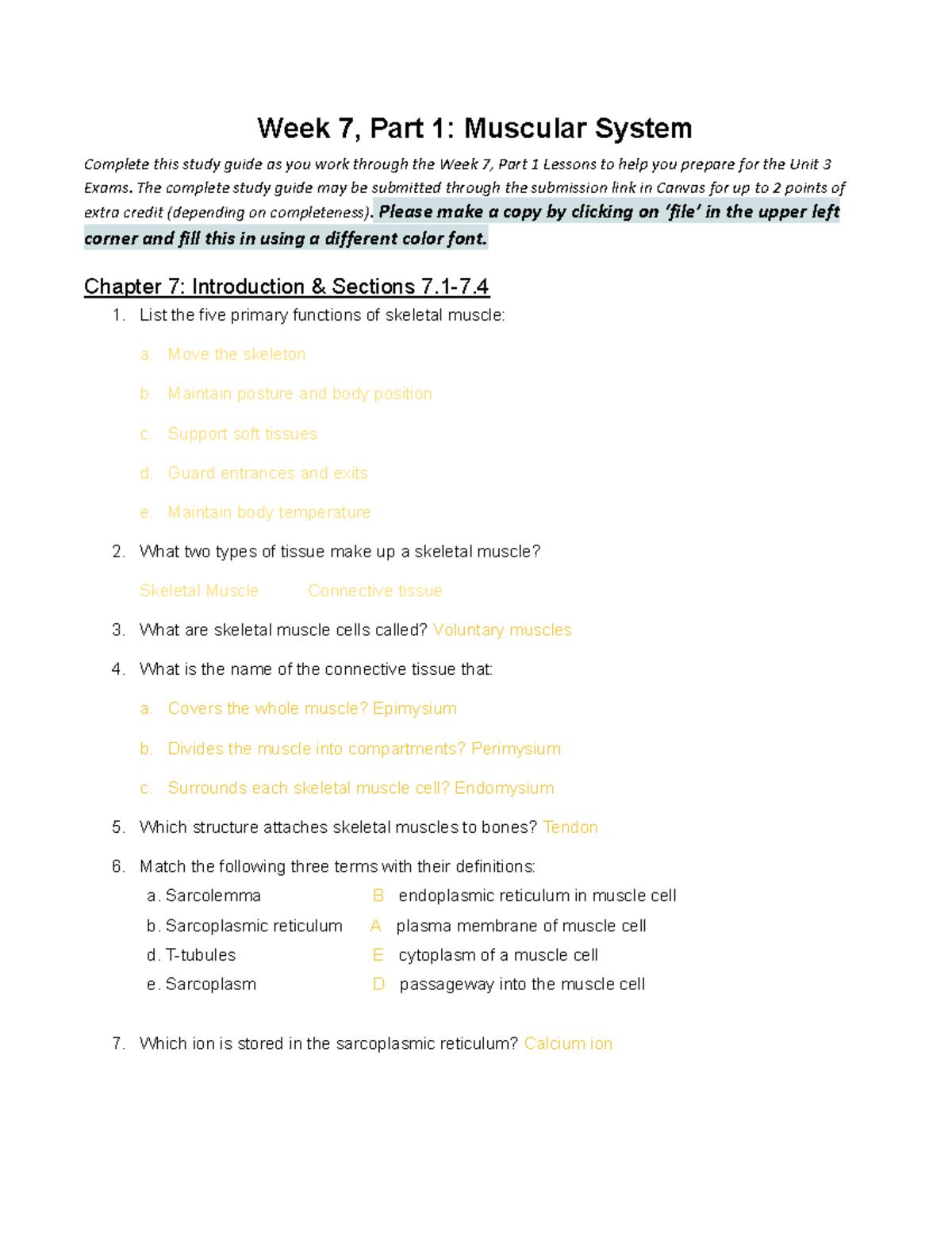 Muscular System Study Guide - Studocu