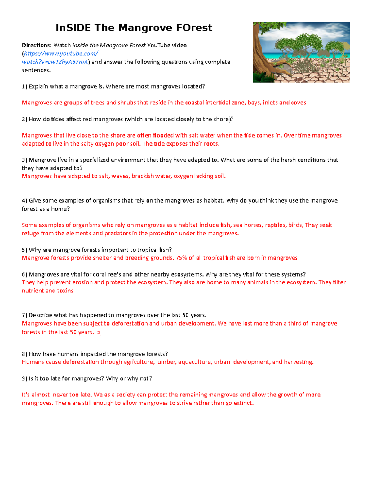 Inside the Mangrove Forest Video Guide Willis - InSIDE The Mangrove ...