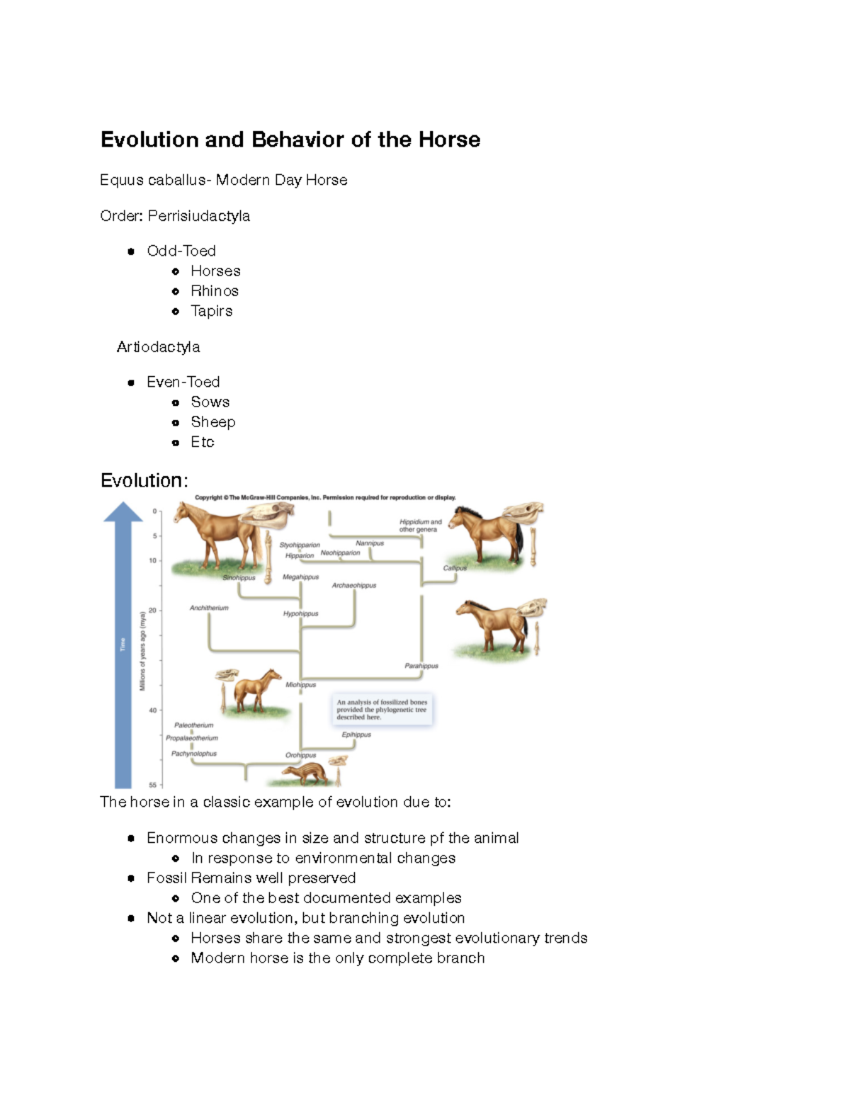 Equine Evolution and Behavior - Evolution and Behavior of the Horse ...