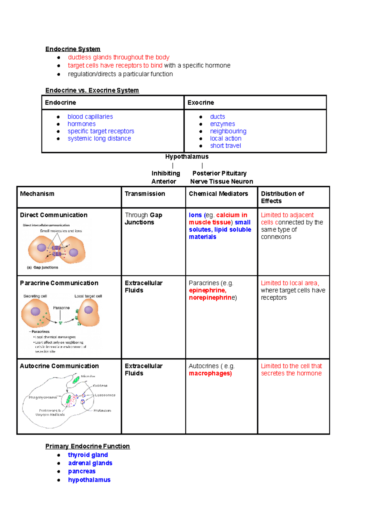 22 - The Endocrine System - Endocrine System ductless glands throughout ...