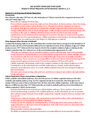 Lab 05 - Trees - This lab is for Biology 101 . - Trees Lab 5 – Trees ...