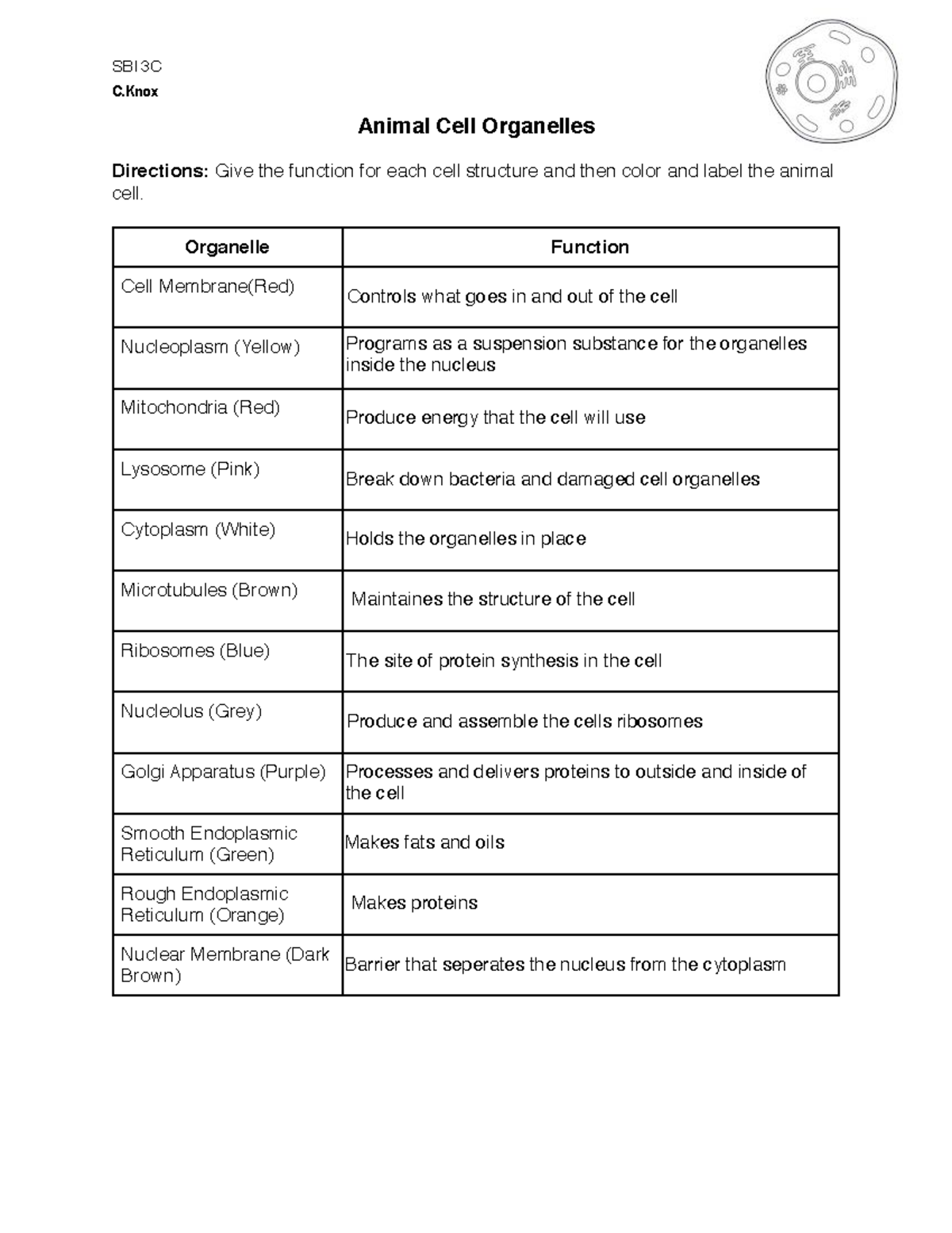Organelle colouring sheet copy - Animal Cell Organelles Directions ...