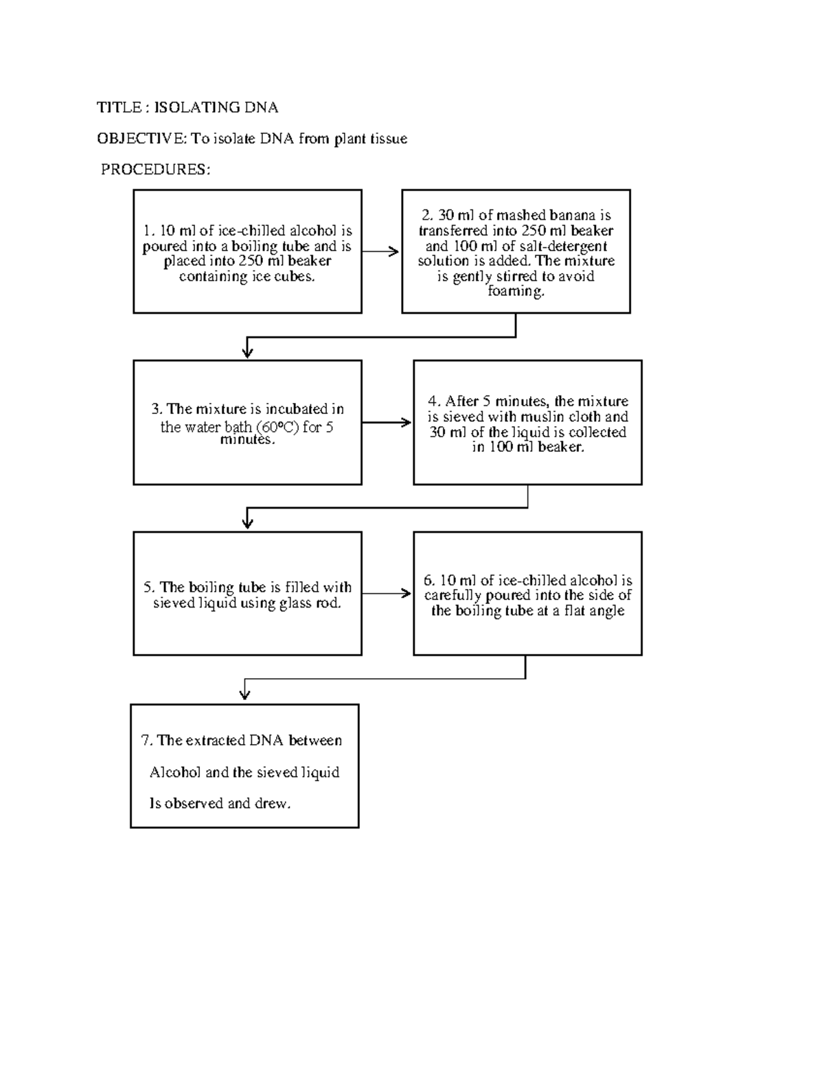 BIO Practical LAB Report - TITLE : ISOLATING DNA OBJECTIVE: To isolate DNA from plant tissue ...