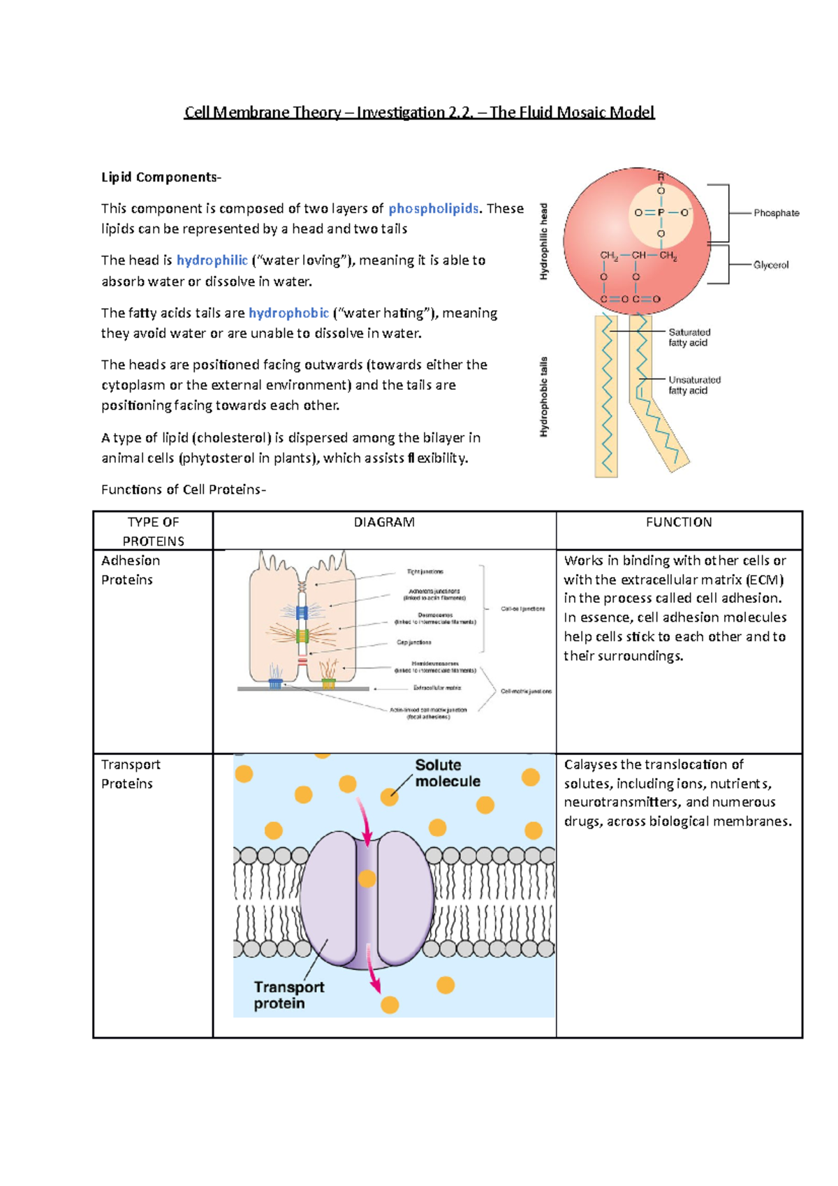 Cell Membrane Theory - Investigation 2.2. – The Fluid Mosaic Model ...
