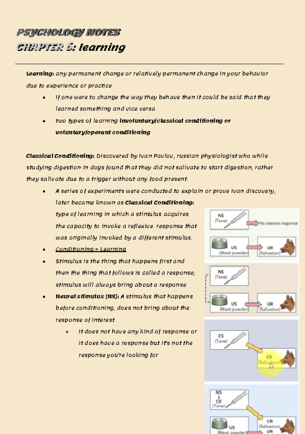 Chapter 6 - PSYCHOLOGY NOTES CHAPTER 6: learning Learning: any ...
