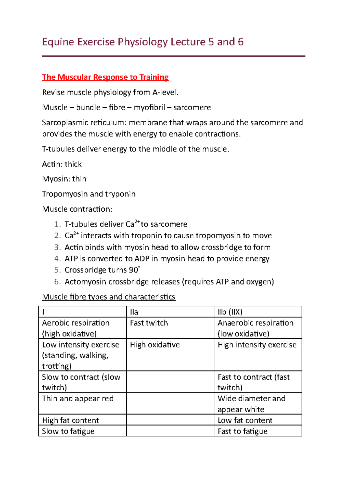 Equine Exercise Physiology Lecture 5 and 6 - Muscle – bundle – fibre ...