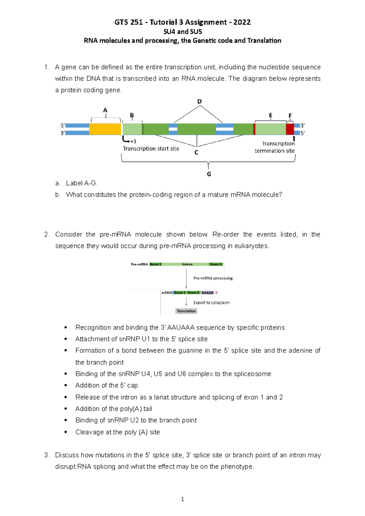 Tutorial 3 Assignment SU4 & SU5 2022 - GTS 251 - Tutorial 3 Assignment ...