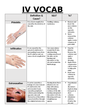 Simulation Effectiveness Tool Modified Subscales - Simulation ...