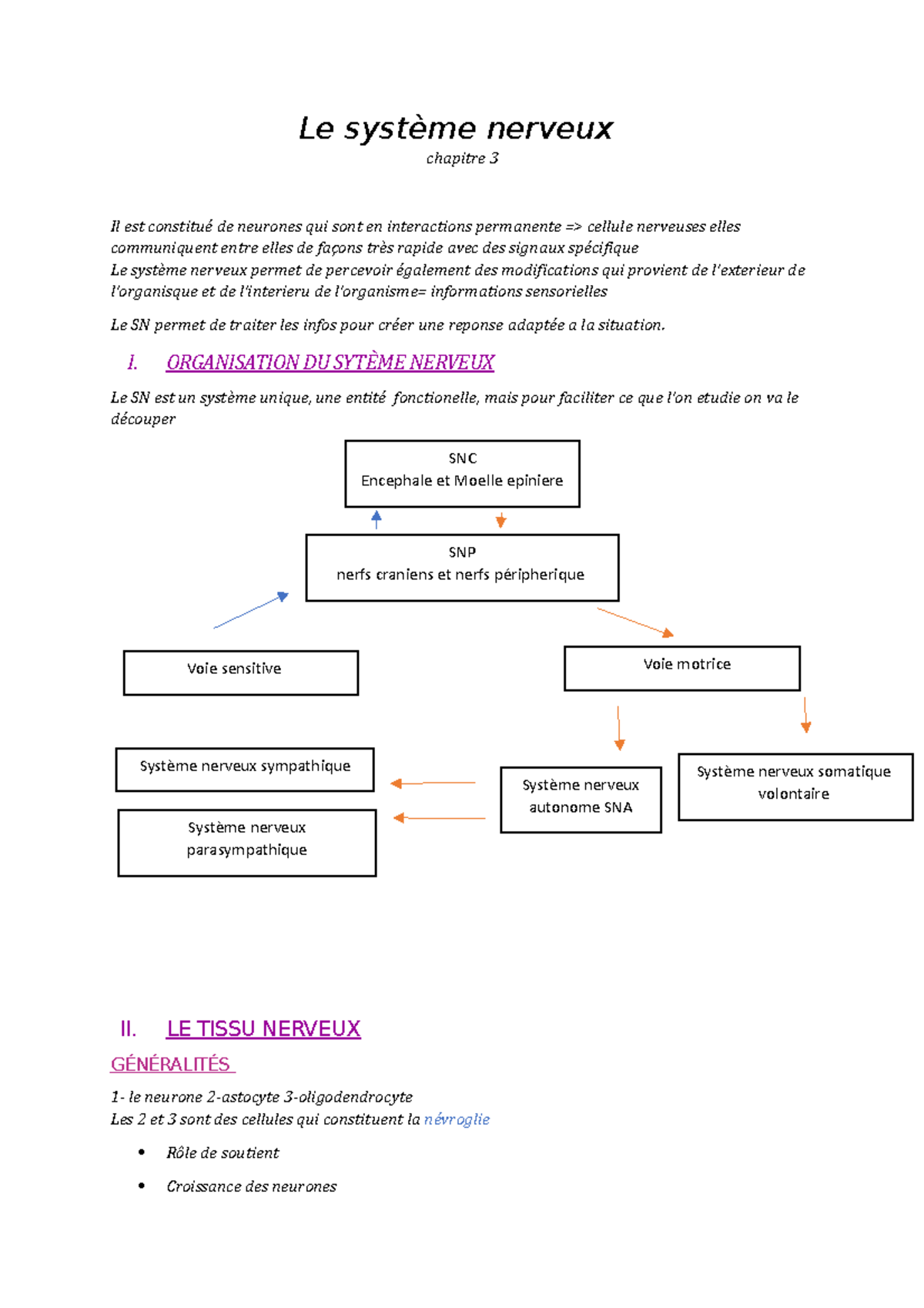 Système nerveux - Le système nerveux chapitre 3 Il est constitué de ...