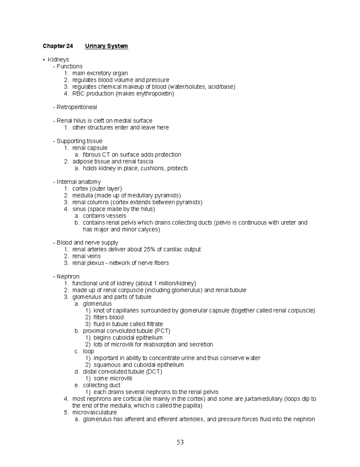 The Urinary System Notes - 53 Chapter 24 Urinary System Kidneys ...