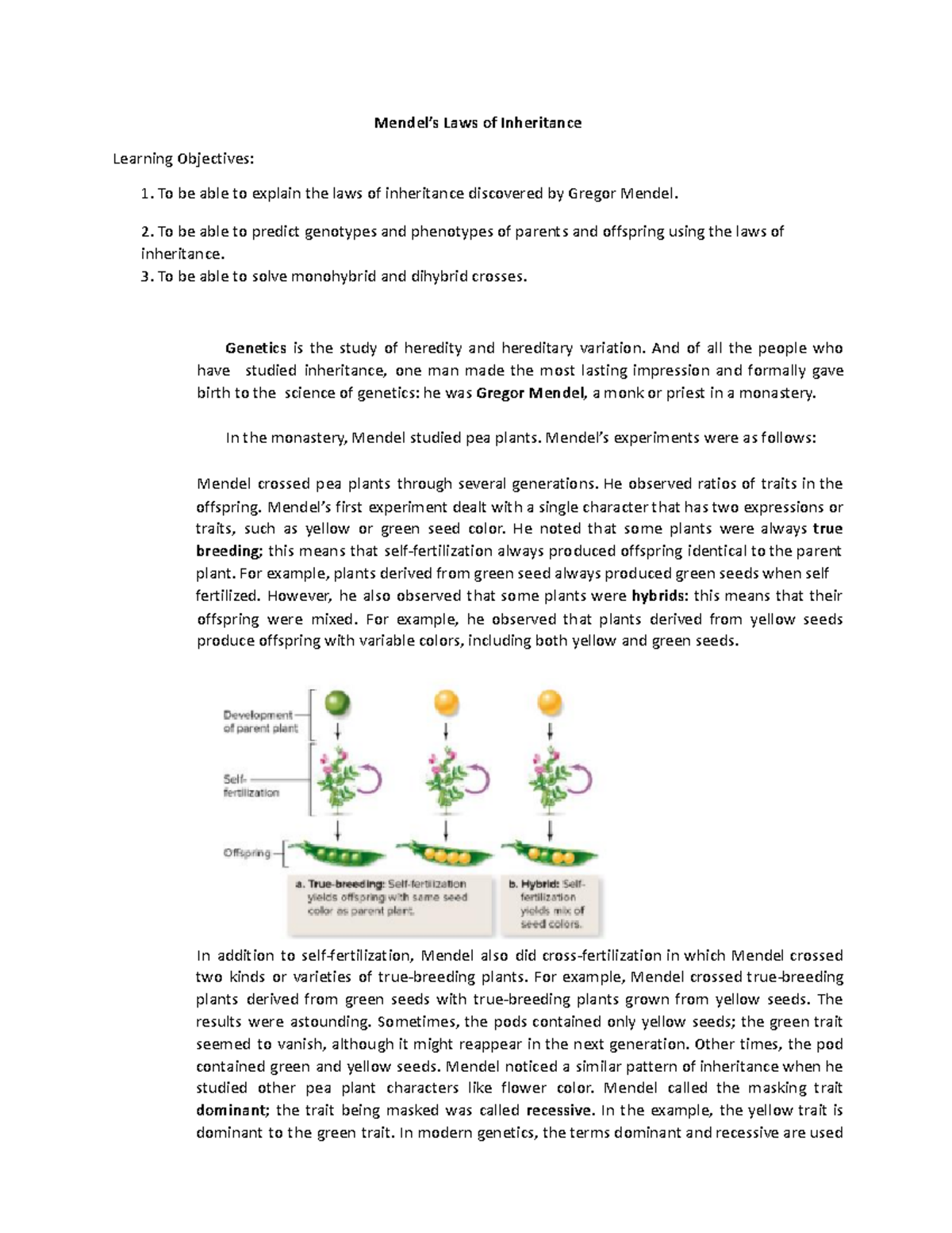Handout Mendels Laws of Inheritance - Mendel’s Laws of Inheritance ...