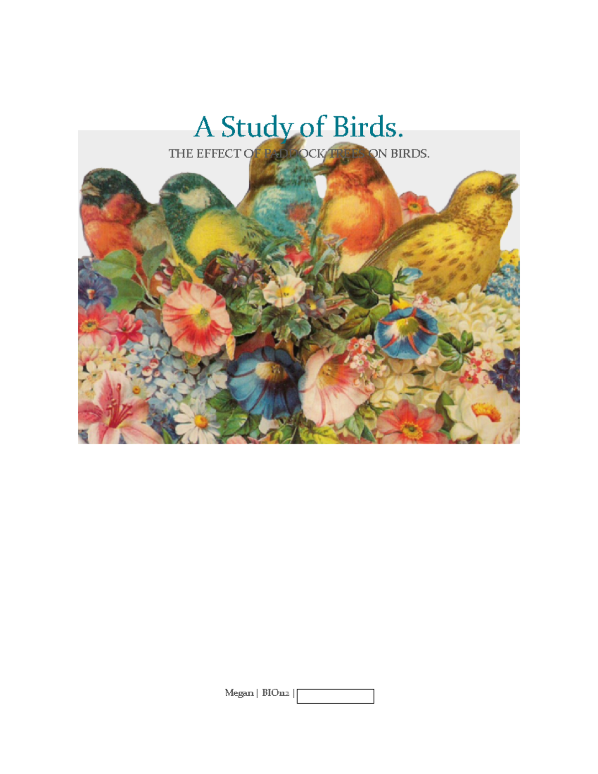 Introduction - Assignment - Megan | BIO112 | A Study of Birds. - Studocu