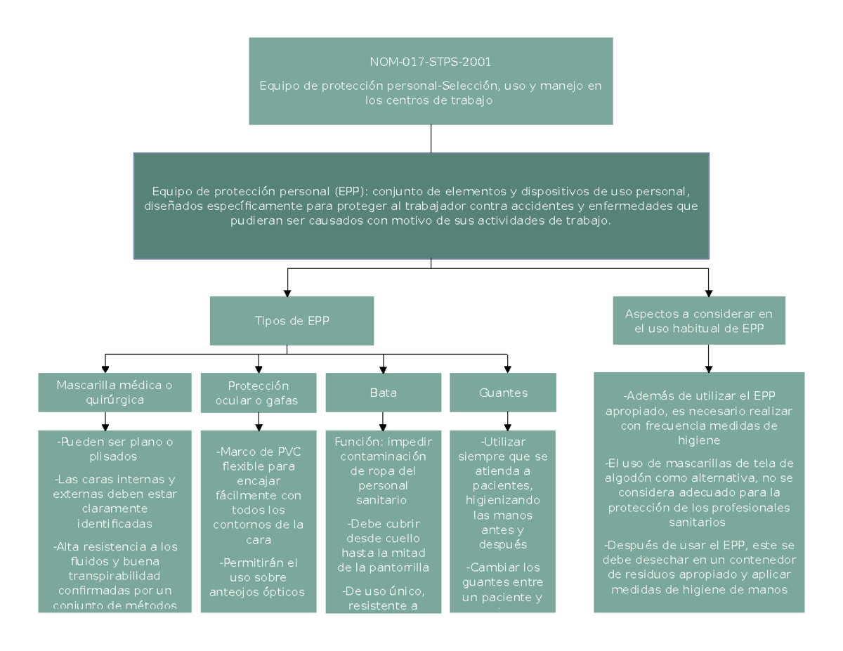 Epp-nom-017 - Apuntes - Aspectos a considerar en el uso habitual de EPP ...