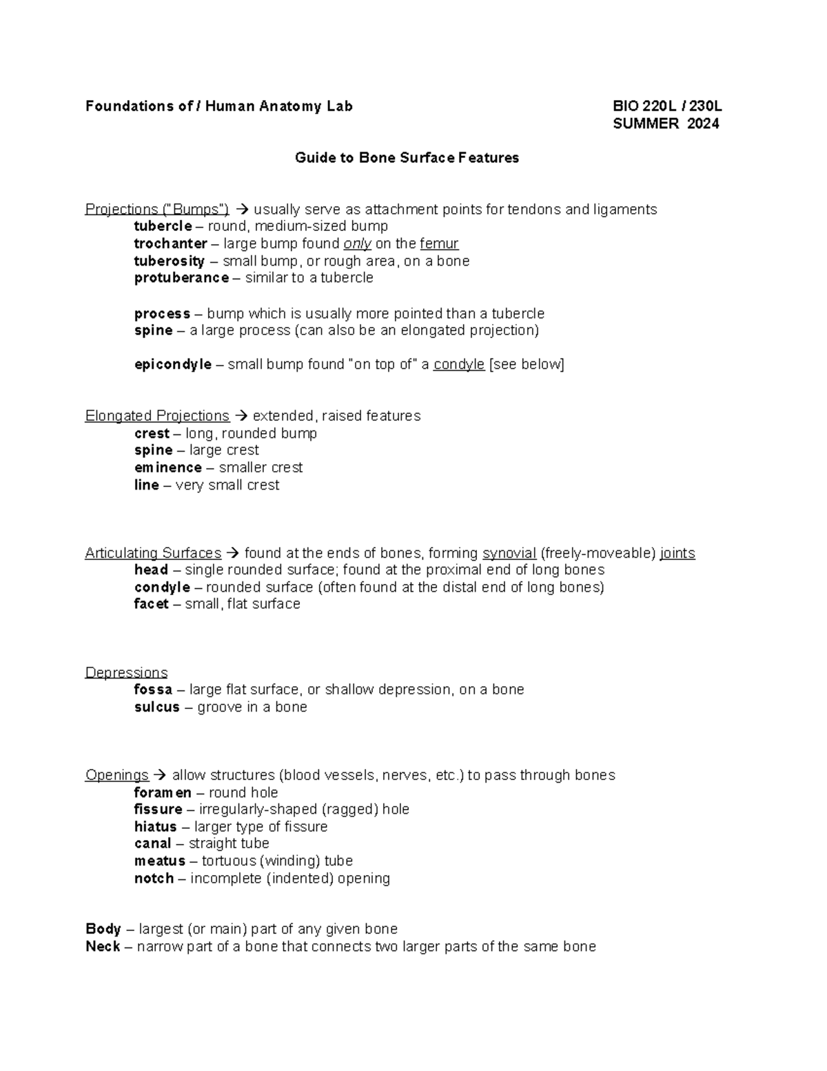 Anatlab - Guide to Bone Surface Features - Foundations of / Human Anatomy Lab BIO 220L / 230L ...