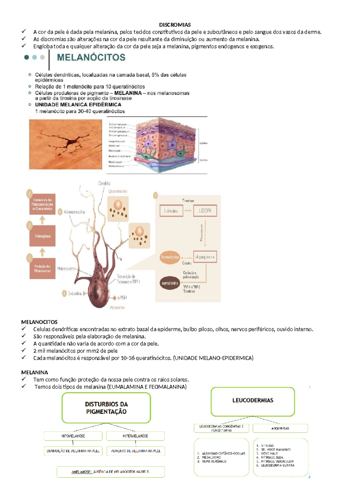 Discromias - Resumo dermatologia - DISCROMIAS A cor da pele é dada pela ...