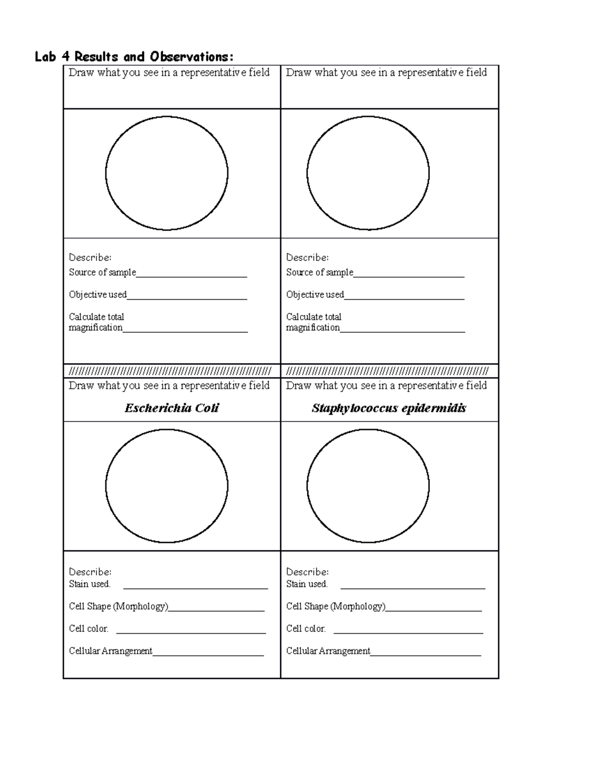 Lab 4 Study Questions - Lab 4 Results and Observations: Draw what you ...