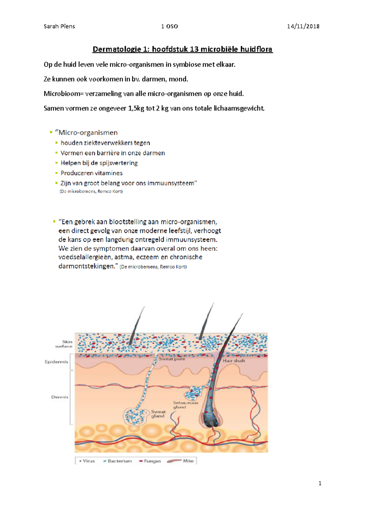 Dermatologie 1 hoofdstuk 13 microbiële huidflora - Dermatologie 1 ...