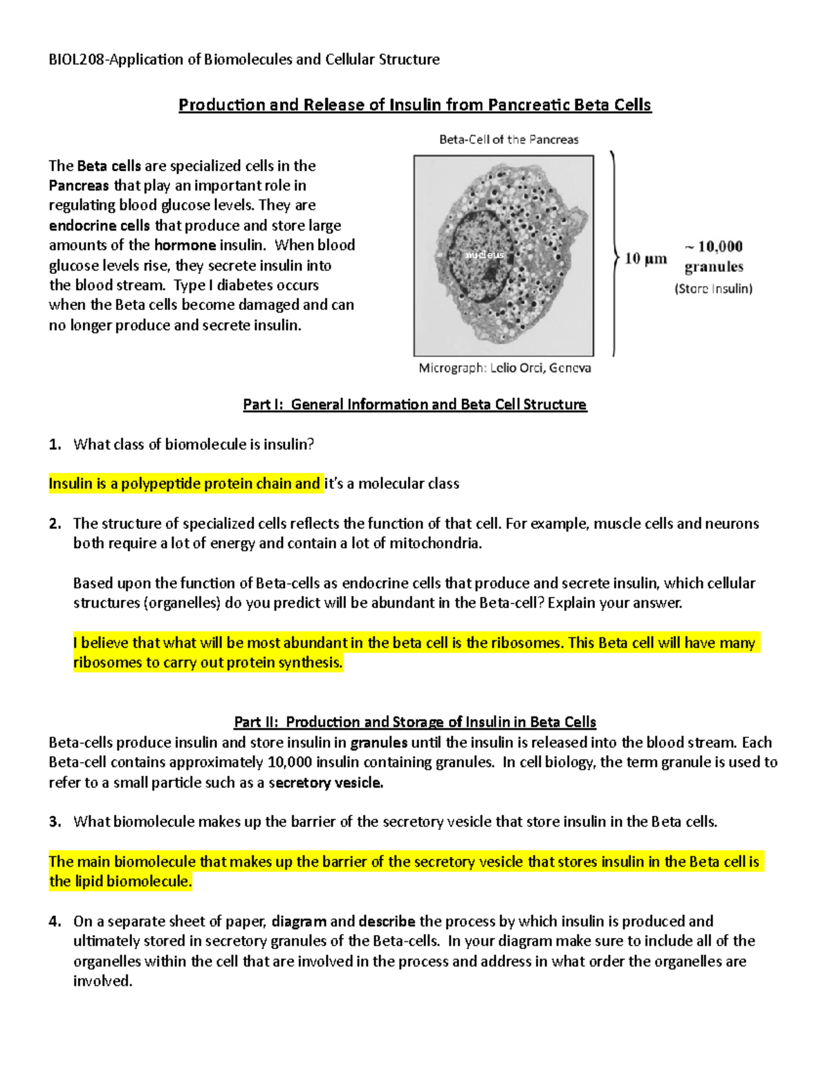 Module 3 Insulin Review Activity - BIOL208-Application of Biomolecules ...