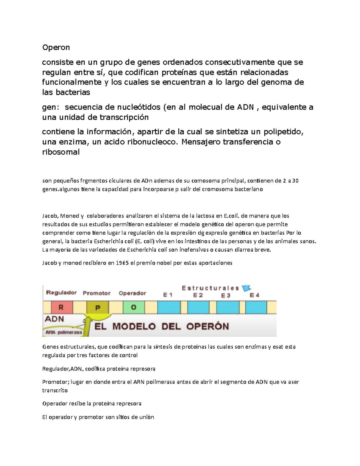 Exposicion mañana biologia - Operon consiste en un grupo de genes ...