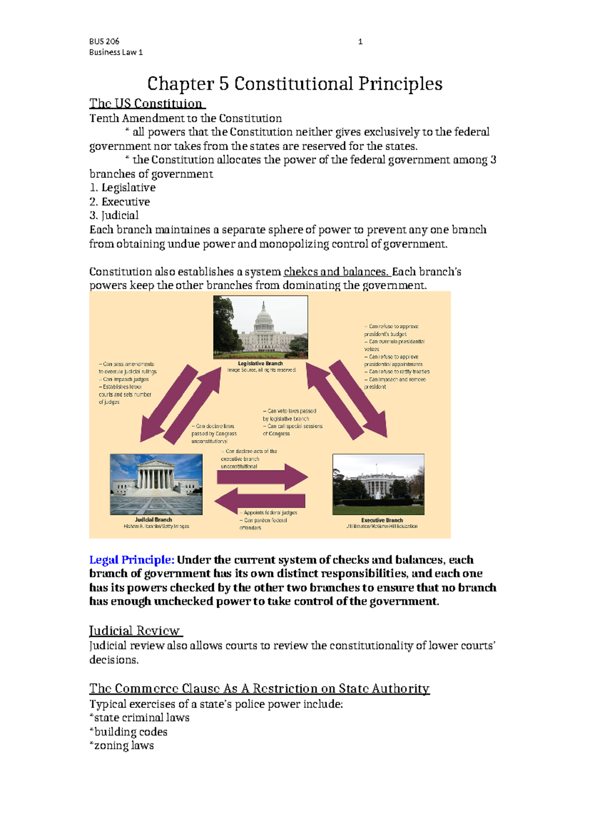 Chapter 5 Constitutional Principles - BUS 206 1 Business Law 1 Chapter ...