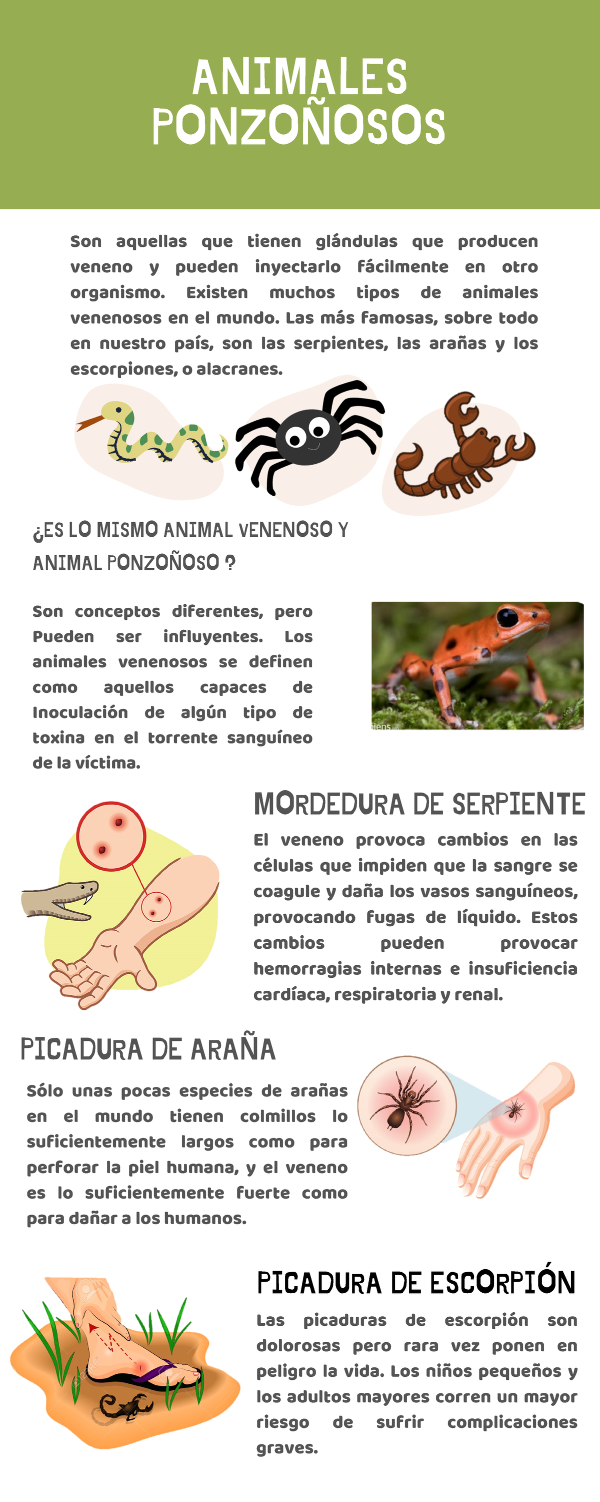 Infografía animales ponzoñosos - Son aquellas que tienen glándulas que ...
