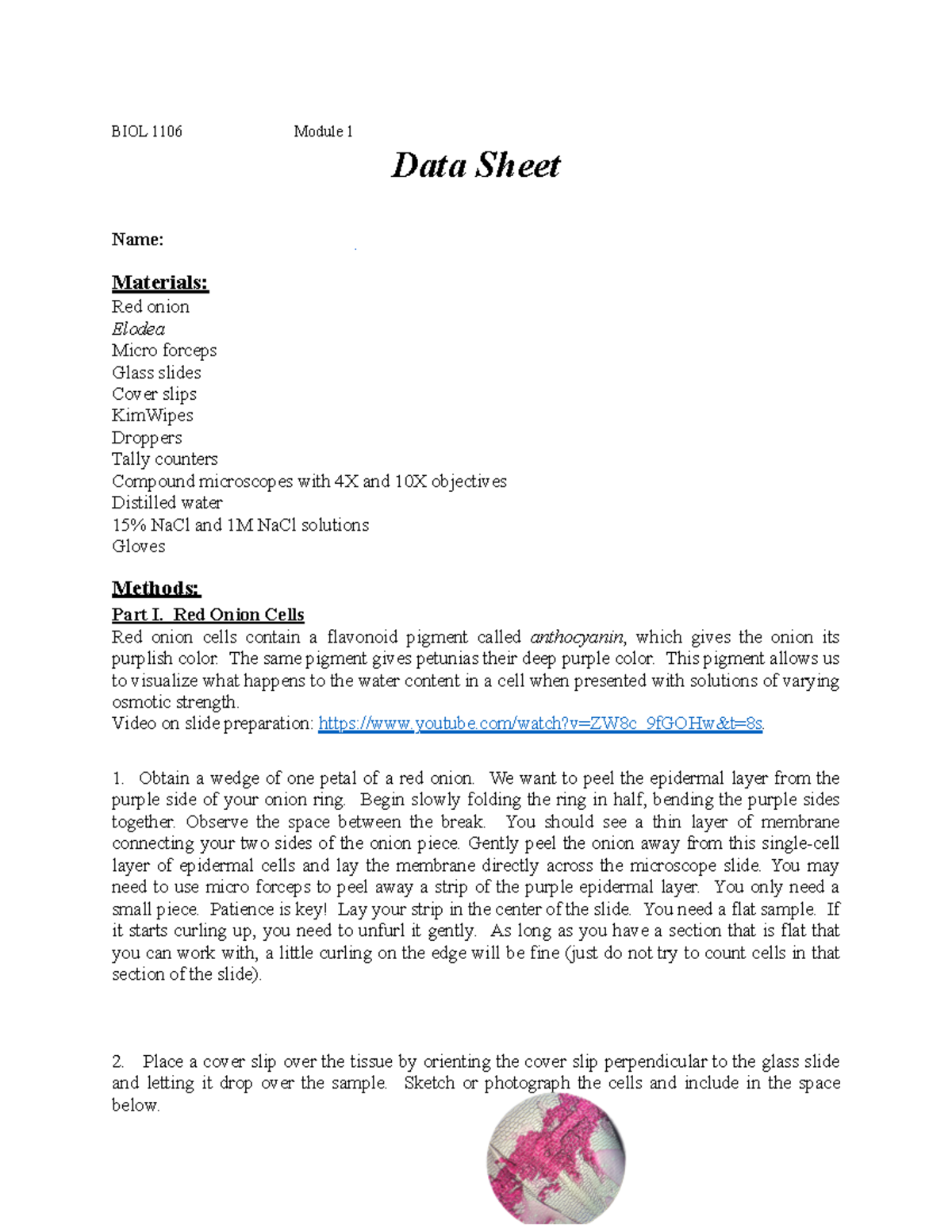 Biology Lab 1 First Lab - BIOL 1106 Module 1 Data Sheet Name: PS ID ...