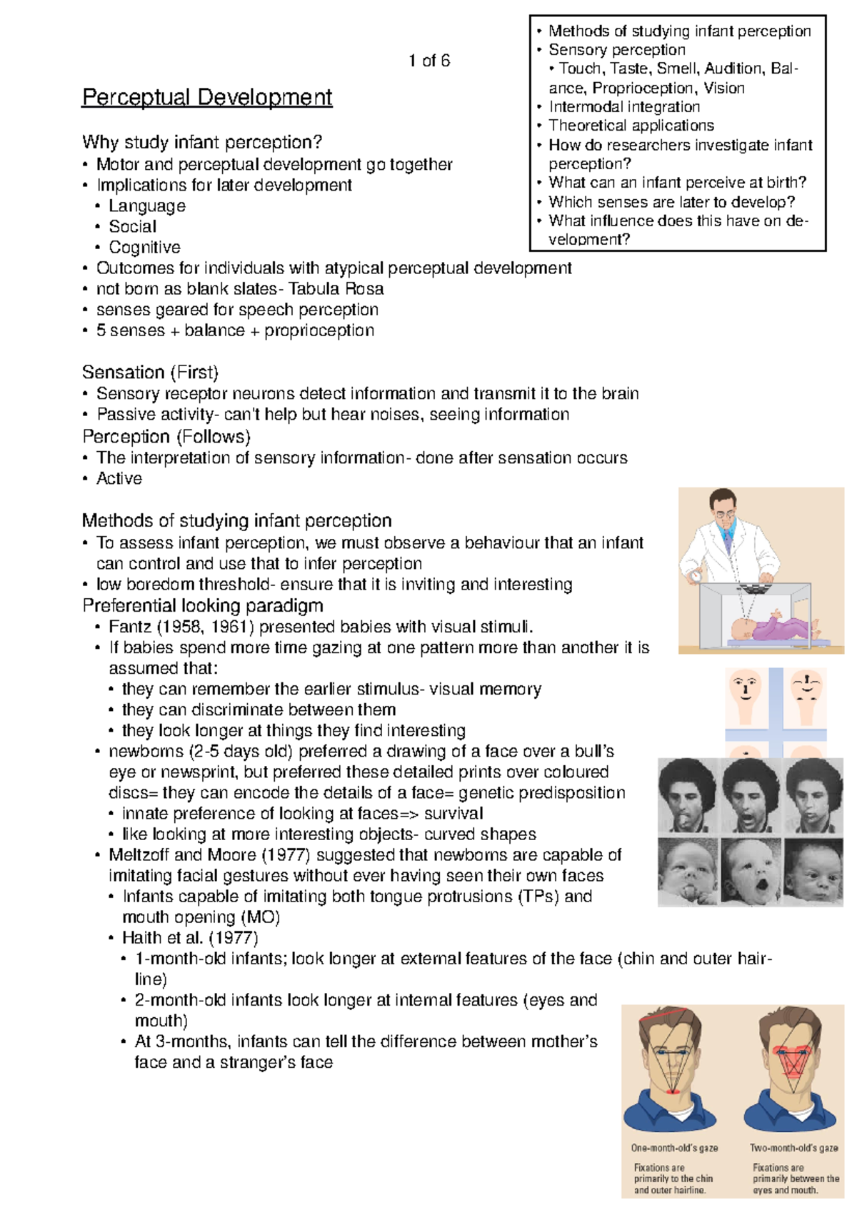 Perceptual Development Notes - 1 of 6 Perceptual Development Why study ...