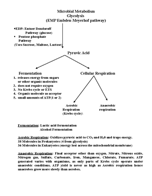 Chapter 19 notes - Immune Disorders Immunopathology o Study of immune ...