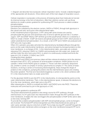 BIO6B pGLO Lab Report 3 - Lab 4: pGLO Determining the Presence and ...