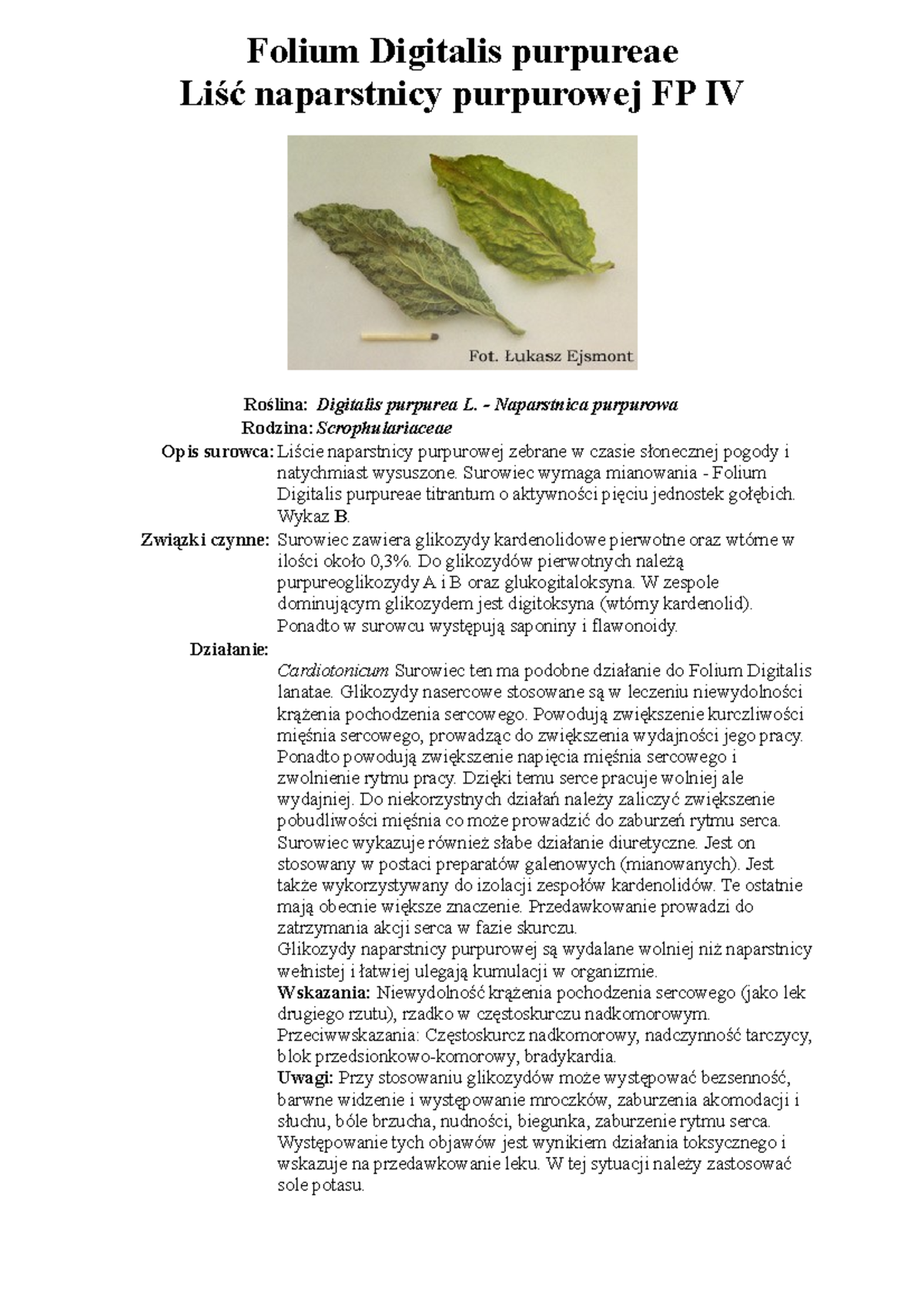 Folium Digitalis purpureae - Folium Digitalis purpureae Liść ...