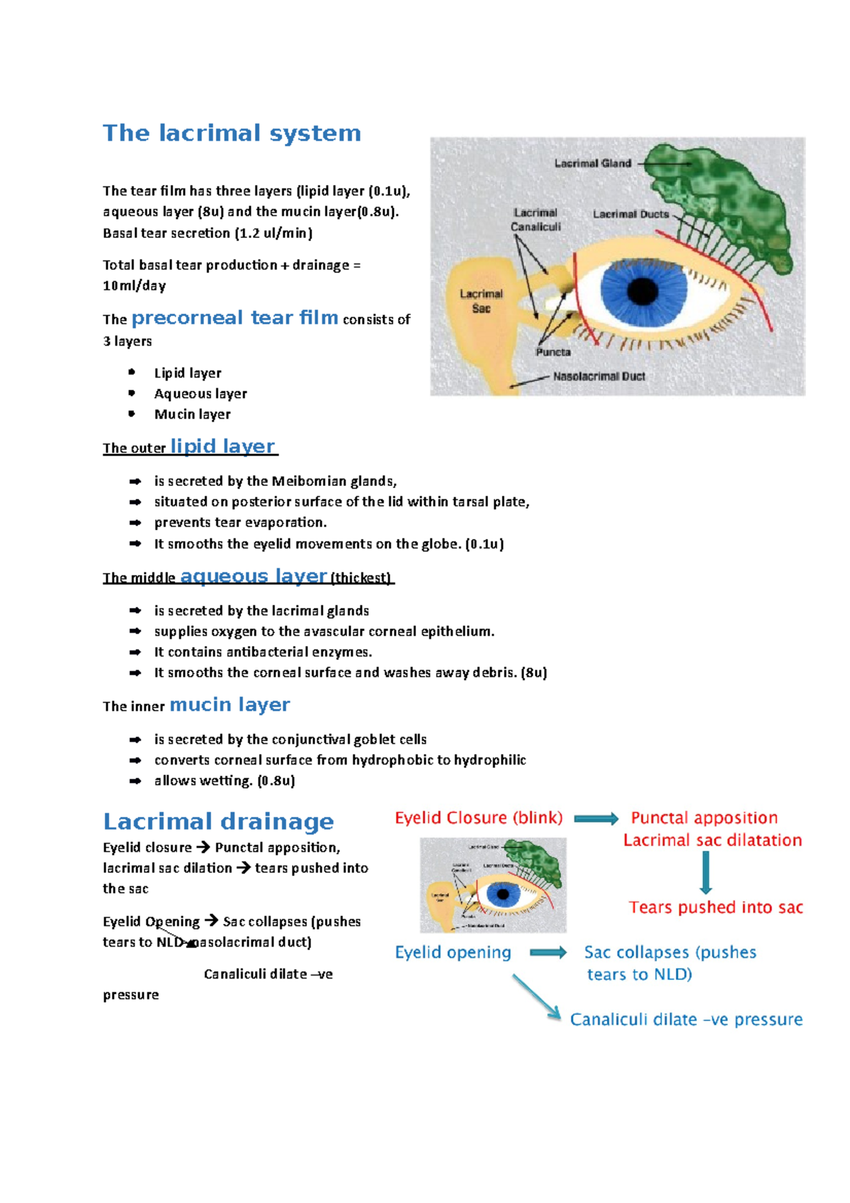 The lacrimal system - Basal tear secretion (1 ul/min) Total basal tear ...