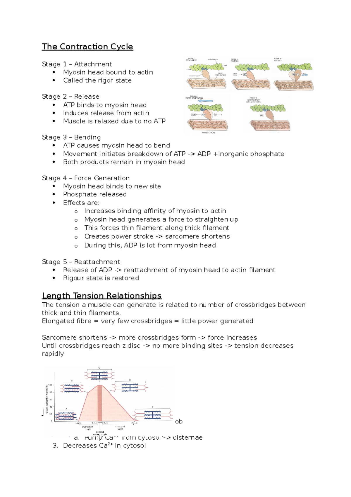 The Contraction Cycle - Lecture notes Notes - The Contraction Cycle ...